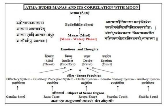 3. Cosmic Relationship of Mind
