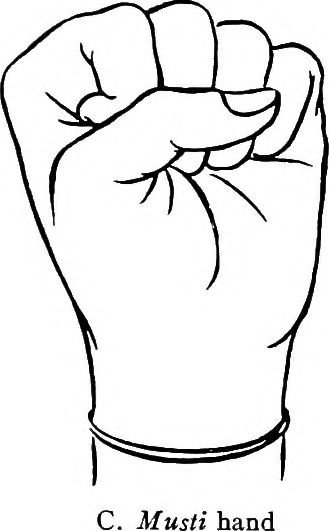 Plate X - Single Hands