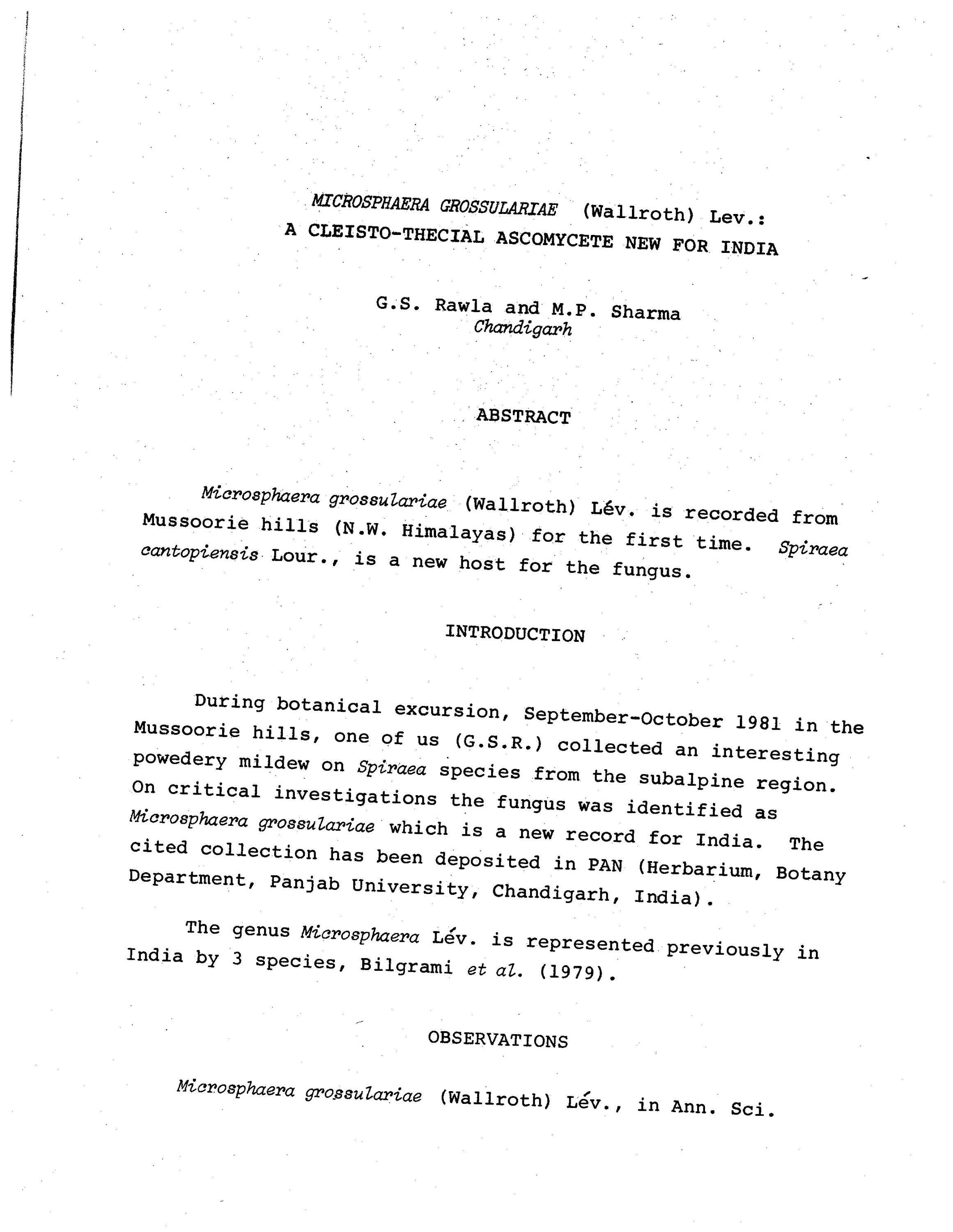 Microsphaera Grossulariae (Wallroth) Lev. [page 1]