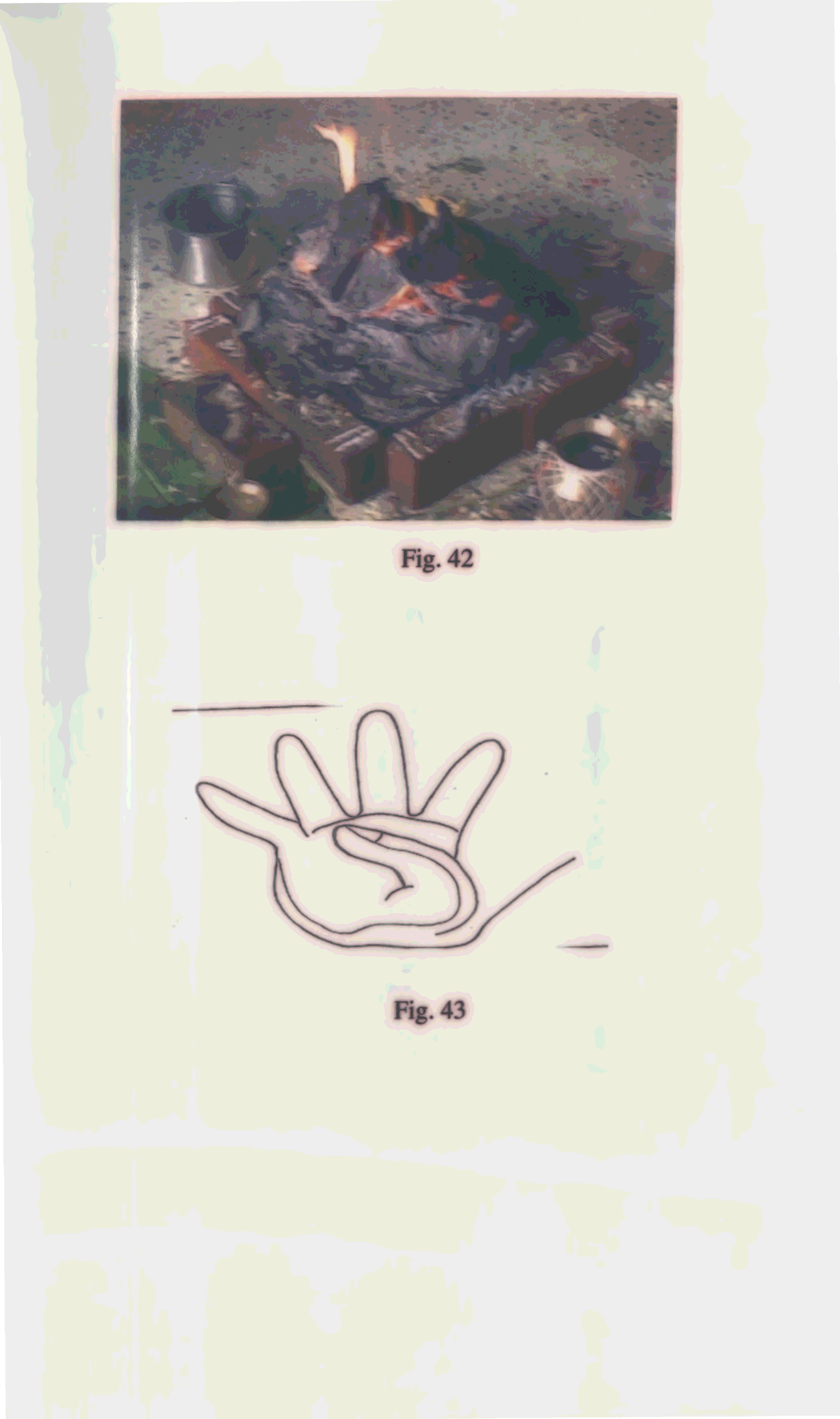 Photos [page 23]