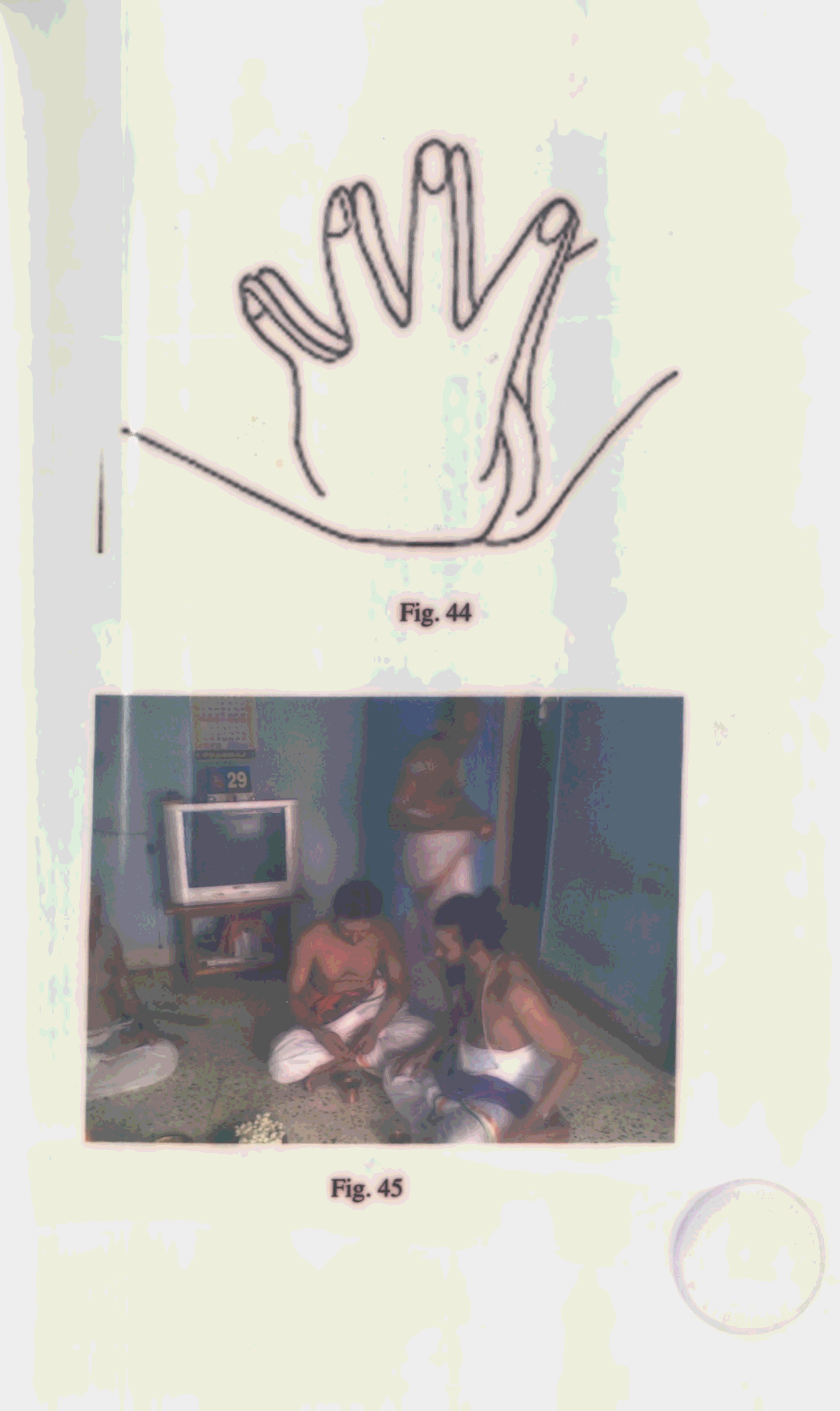 Photos [page 24]