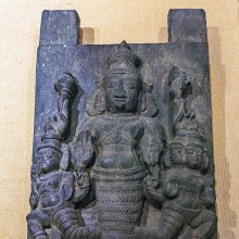 Aja: Significance and symbolism