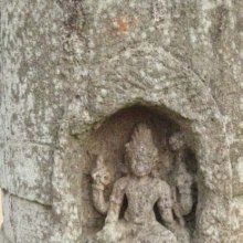 Jatamukuta, Jata-mukuta, Jaṭāmukuṭa: 7 definitions