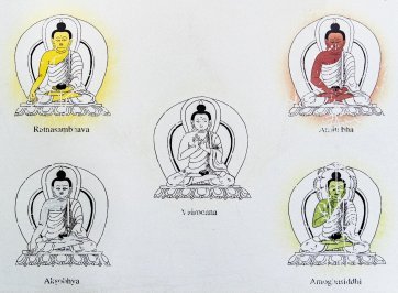 The Five Buddhas (and colors) [Buddhist Art Gallery: Northern Himalayan ...