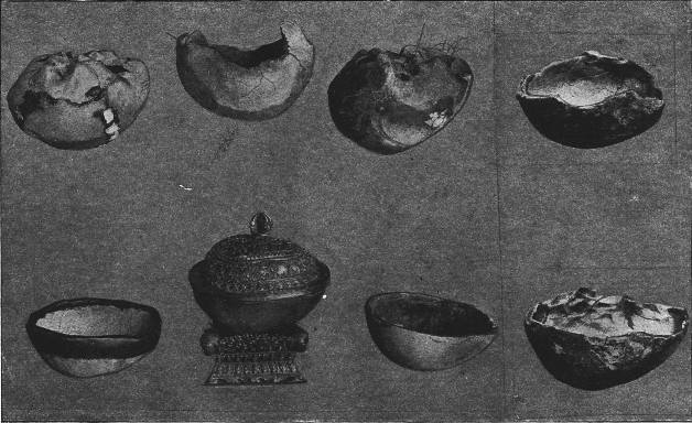 Figure 4.2.1: An illustrated selection of skulls [Tibetan ritual objects]