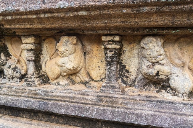 Kumara Pokuna (detail) [Polonnaruwa (ancient city)]