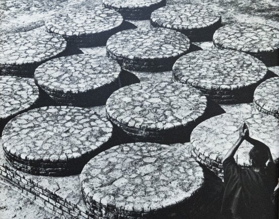 Lumbini Sixteen Chaityas [Buddhist Art Gallery: Photographs (NMN)]