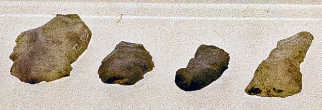 Mesolithic Period (8000-4000 B.C.) [New Delhi Museum—Harappan Civilisation]