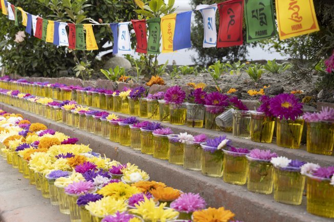 Offering of flowers in water [Boudhanath Stupa]