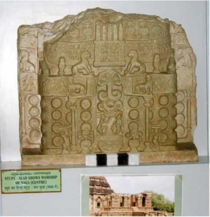 Plate 37d [Amaravati art]