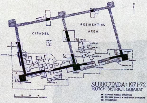 Surkotada (Kachchh, Gujarat) [New Delhi Museum—Harappan Civilisation]
