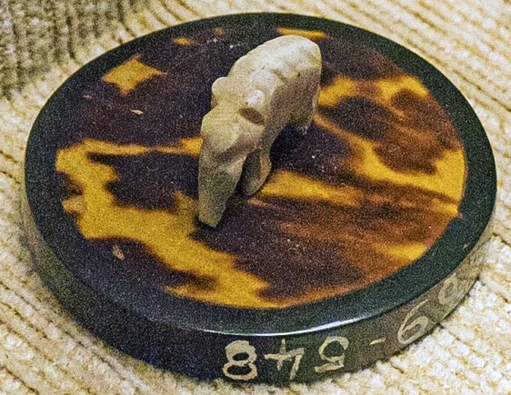 Turtle Shell Paper weights [Galle National Museum]