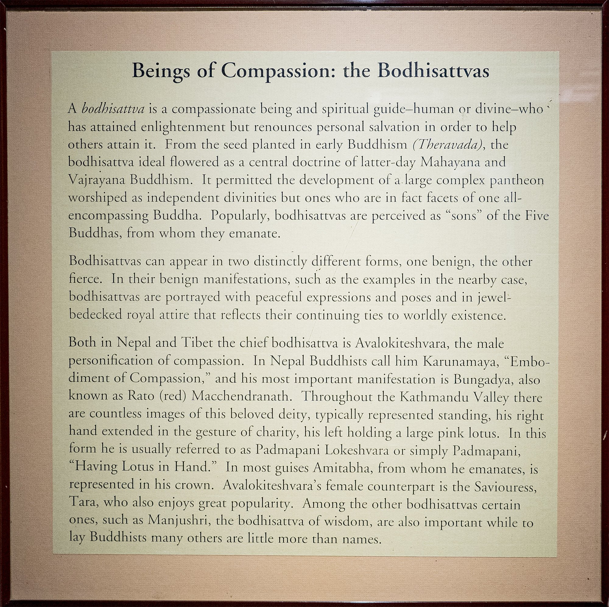 Meaning Of Compassion In Christianity meaning-of-compassion-in-christianity