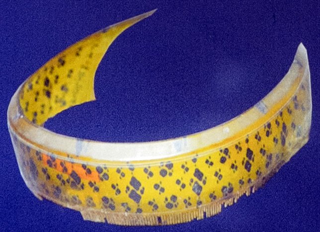 Comb made of Tortoise shell [Galle National Museum]