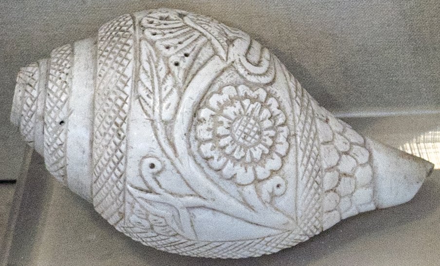 Conch (Shankha) (from Andaman) [New Delhi Museum—Musical Instruments]