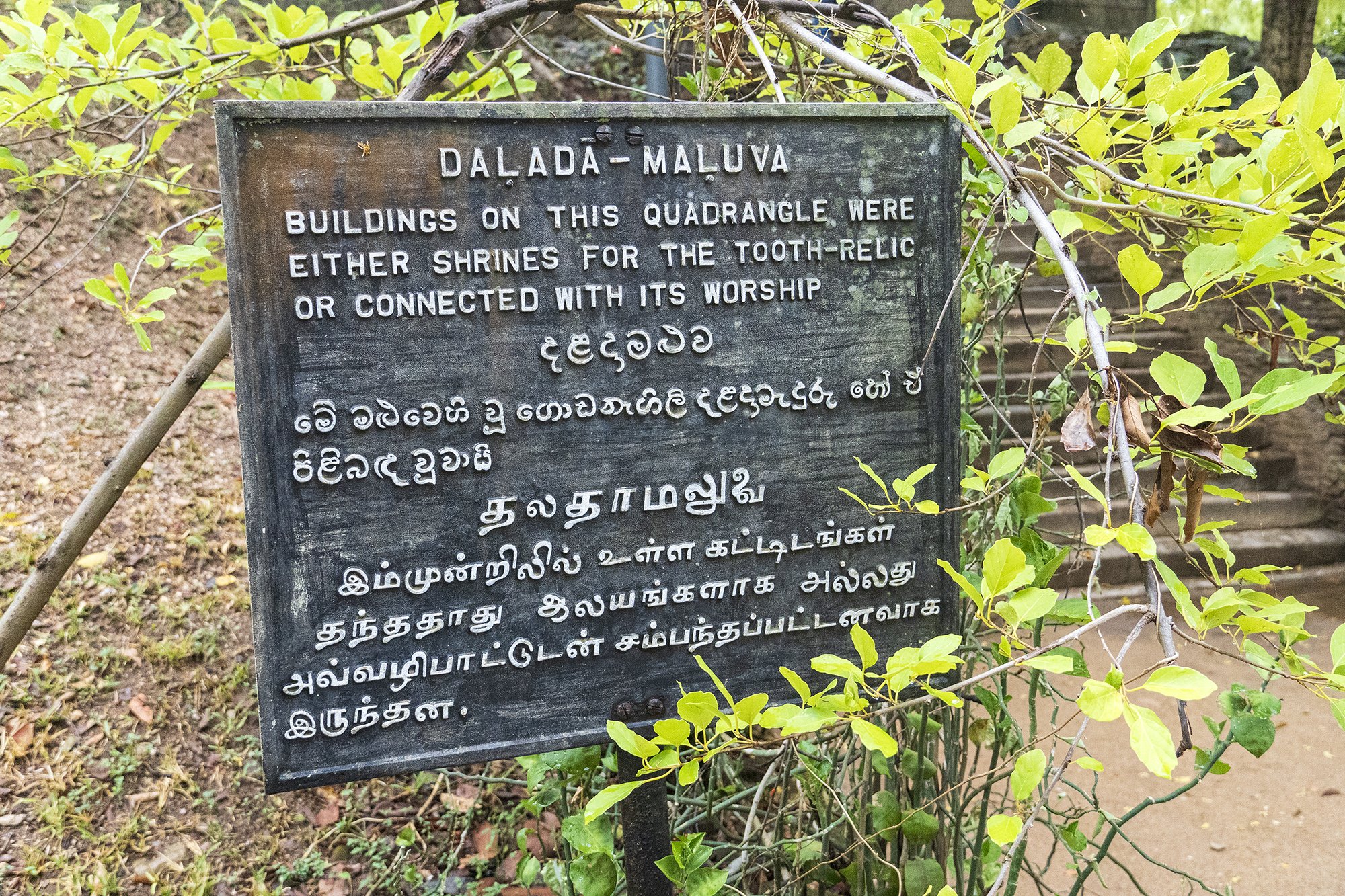 Dalada-Maluva [Polonnaruwa (ancient city)]