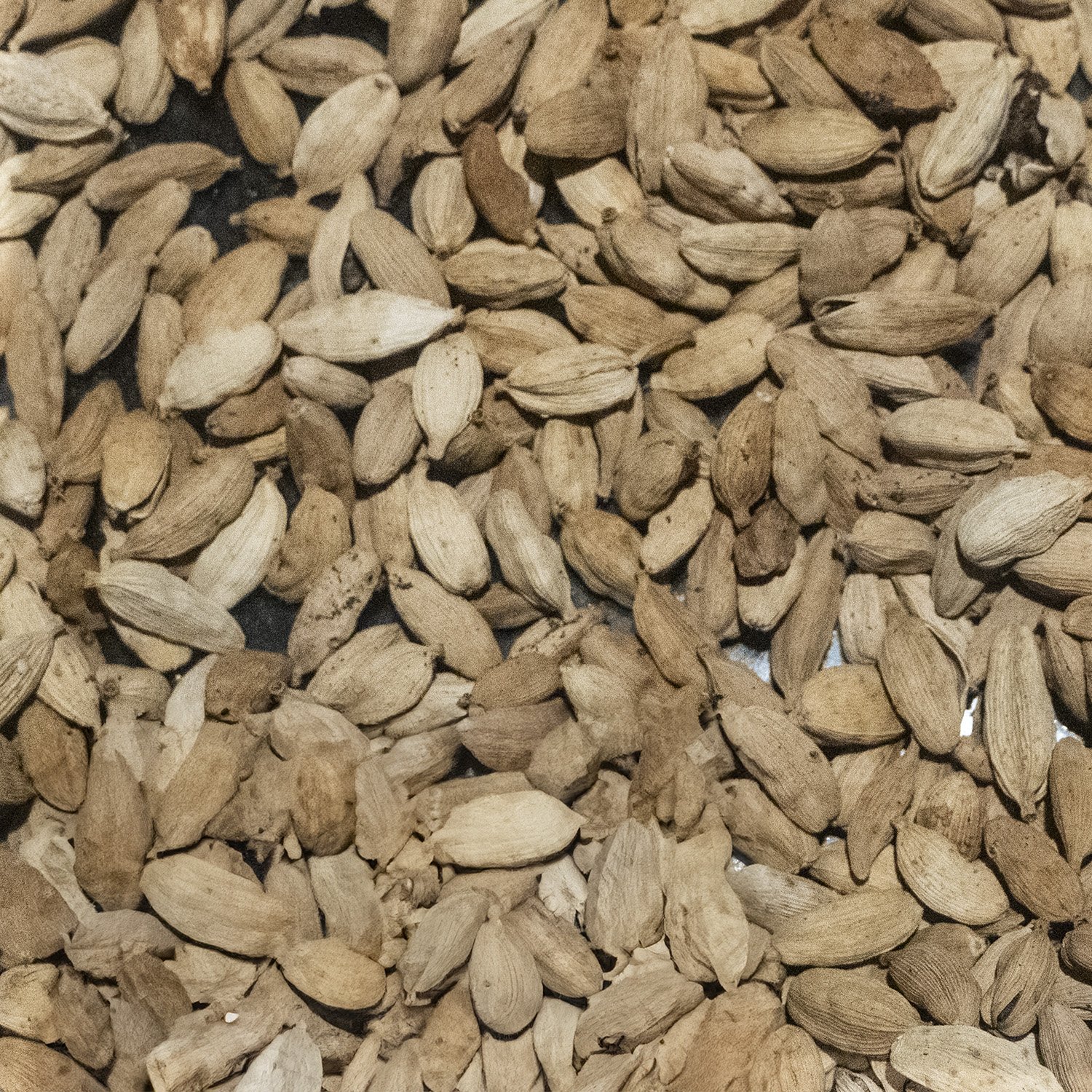 Exported Spices: Cardamom [Maritime Museum (Galle)]