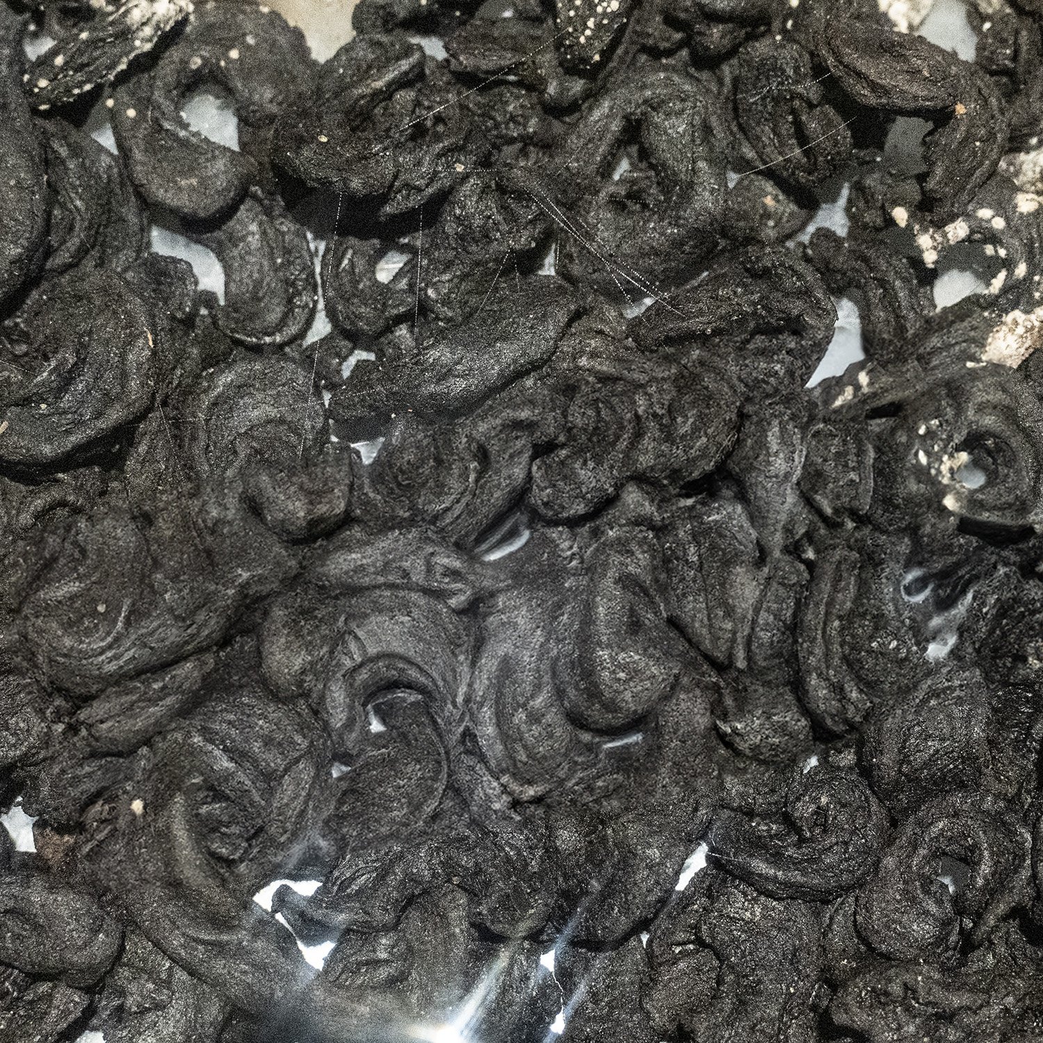 Vishesh: Symbolik und Bedeutung