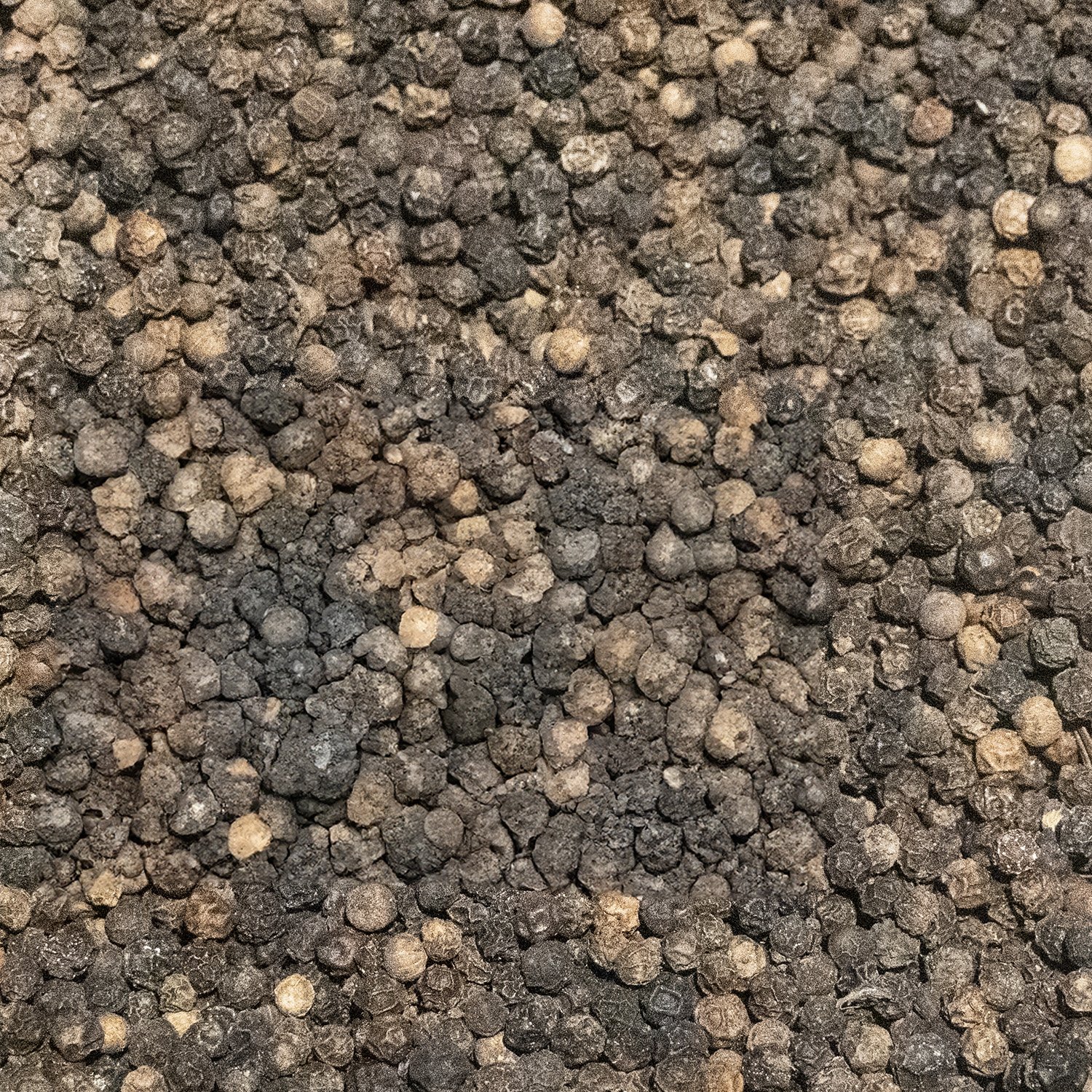 Exported Spices: Pepper [Maritime Museum (Galle)]