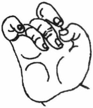 Figure 11: Kataka-hasta [Vaisnava Agamas and Visnu Images]