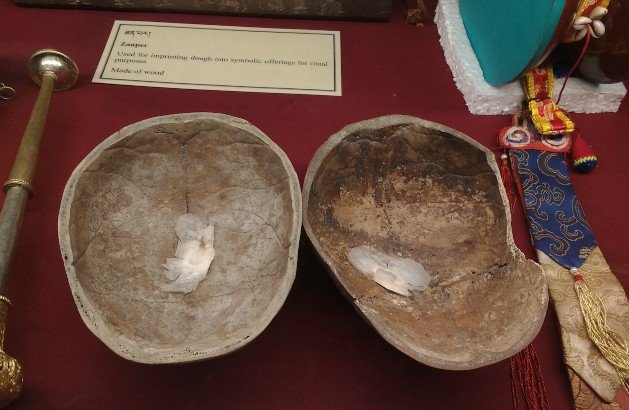 Figure 4.2.36: Skulls on display at the Namgyal Institute [Tibetan ...