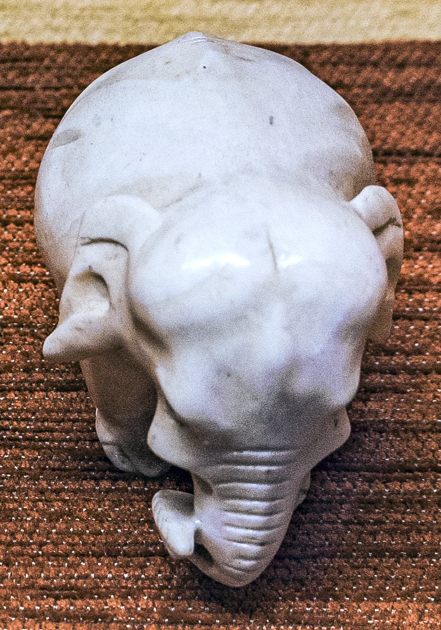 Ivory Elephant [Galle National Museum]