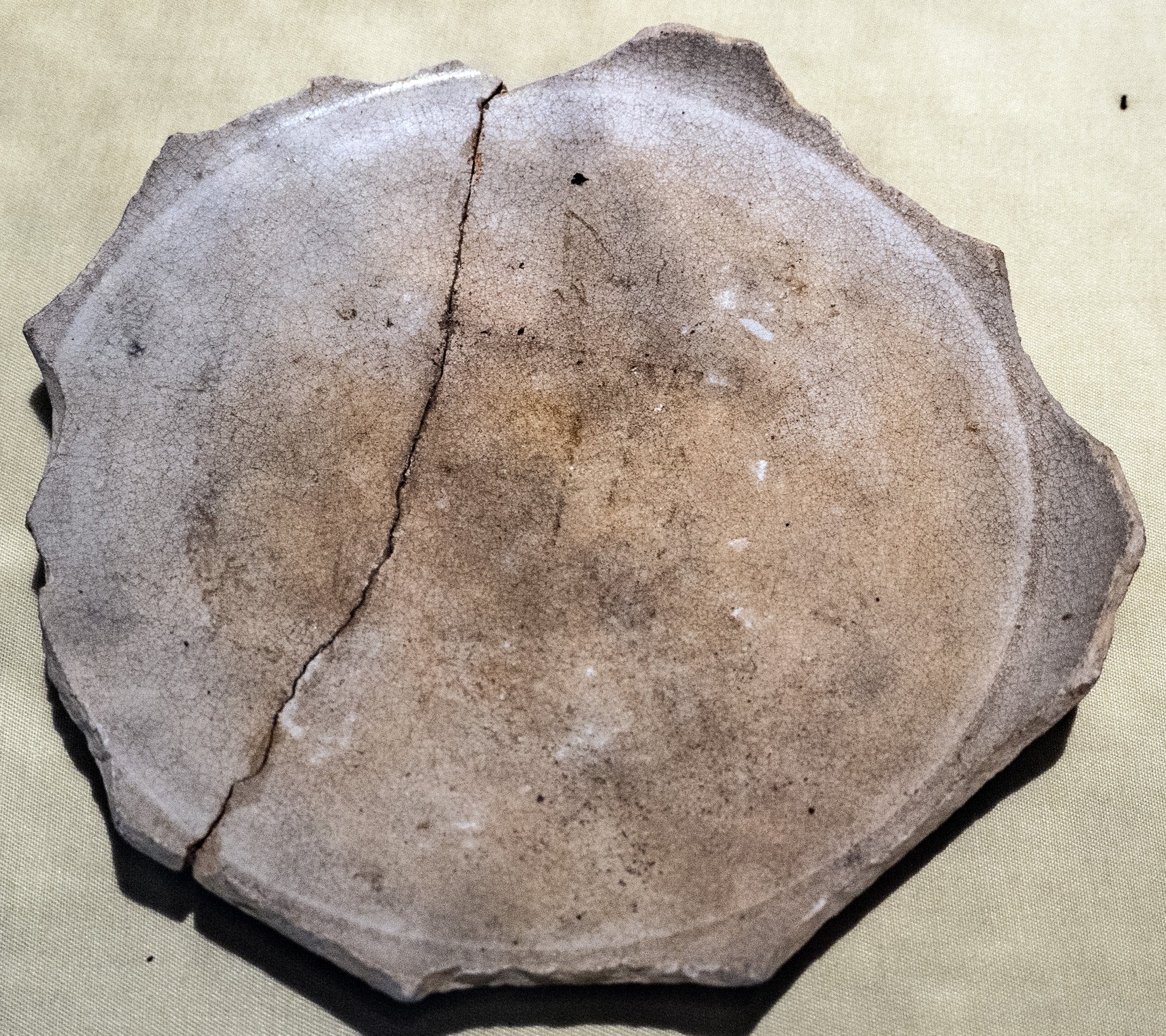 Kayts: Potsherds [Maritime Museum (Galle)]