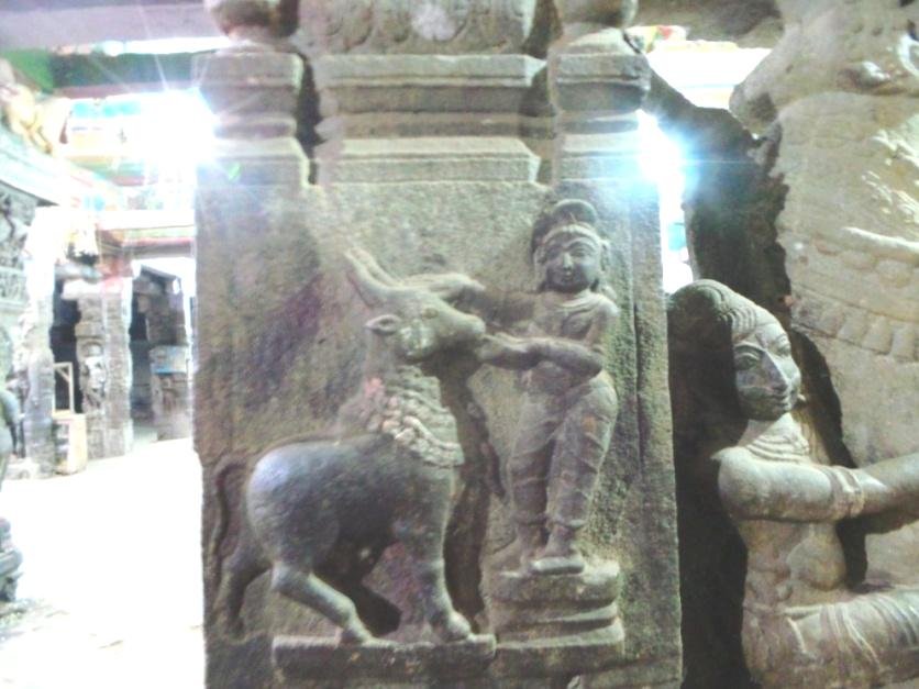 Stier: Symbolik und Bedeutung