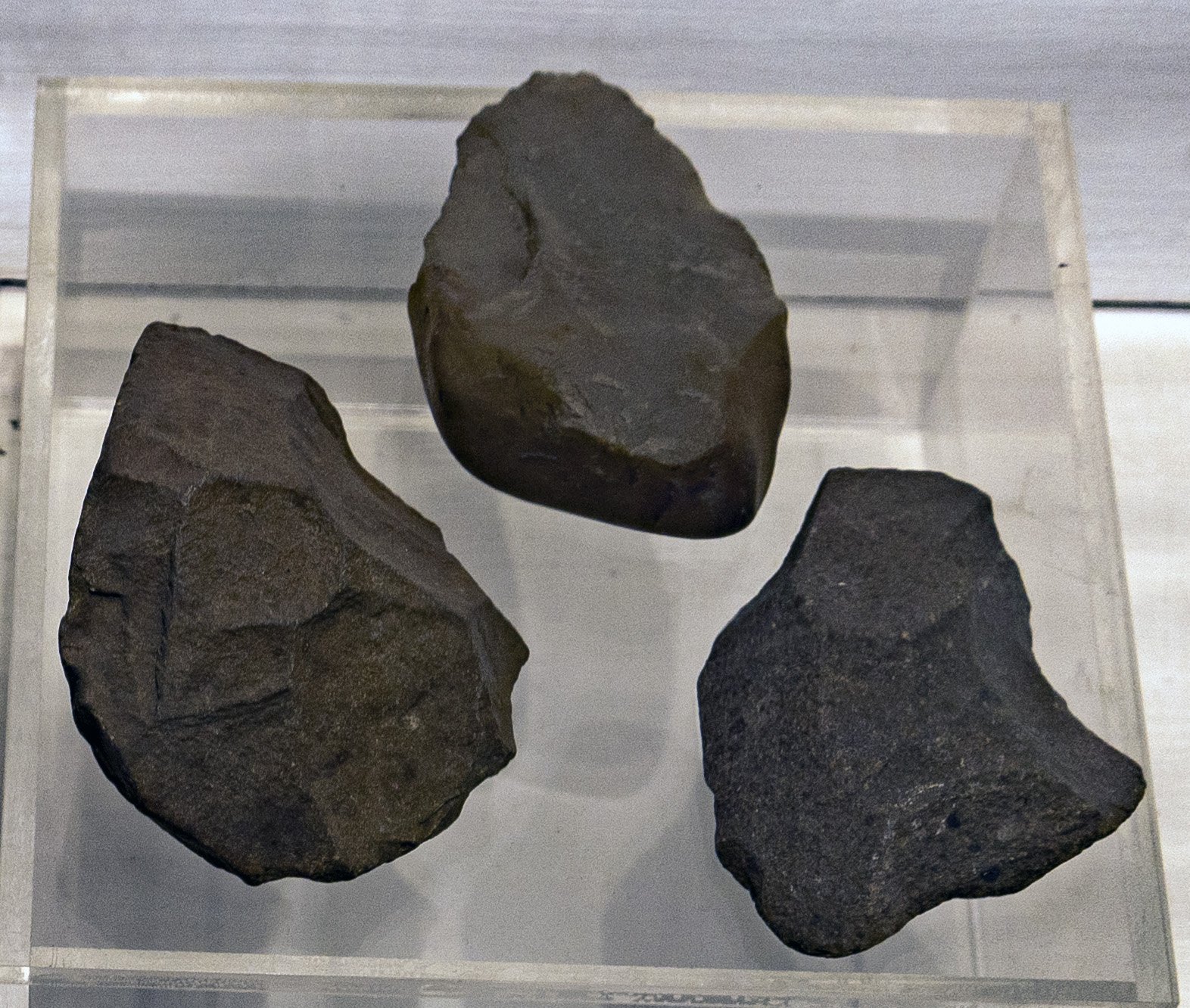 Lower Palaeolithic Period [New Delhi Museum—Harappan Civilisation]
