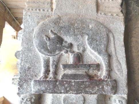 Vache: Symbolisme et signification