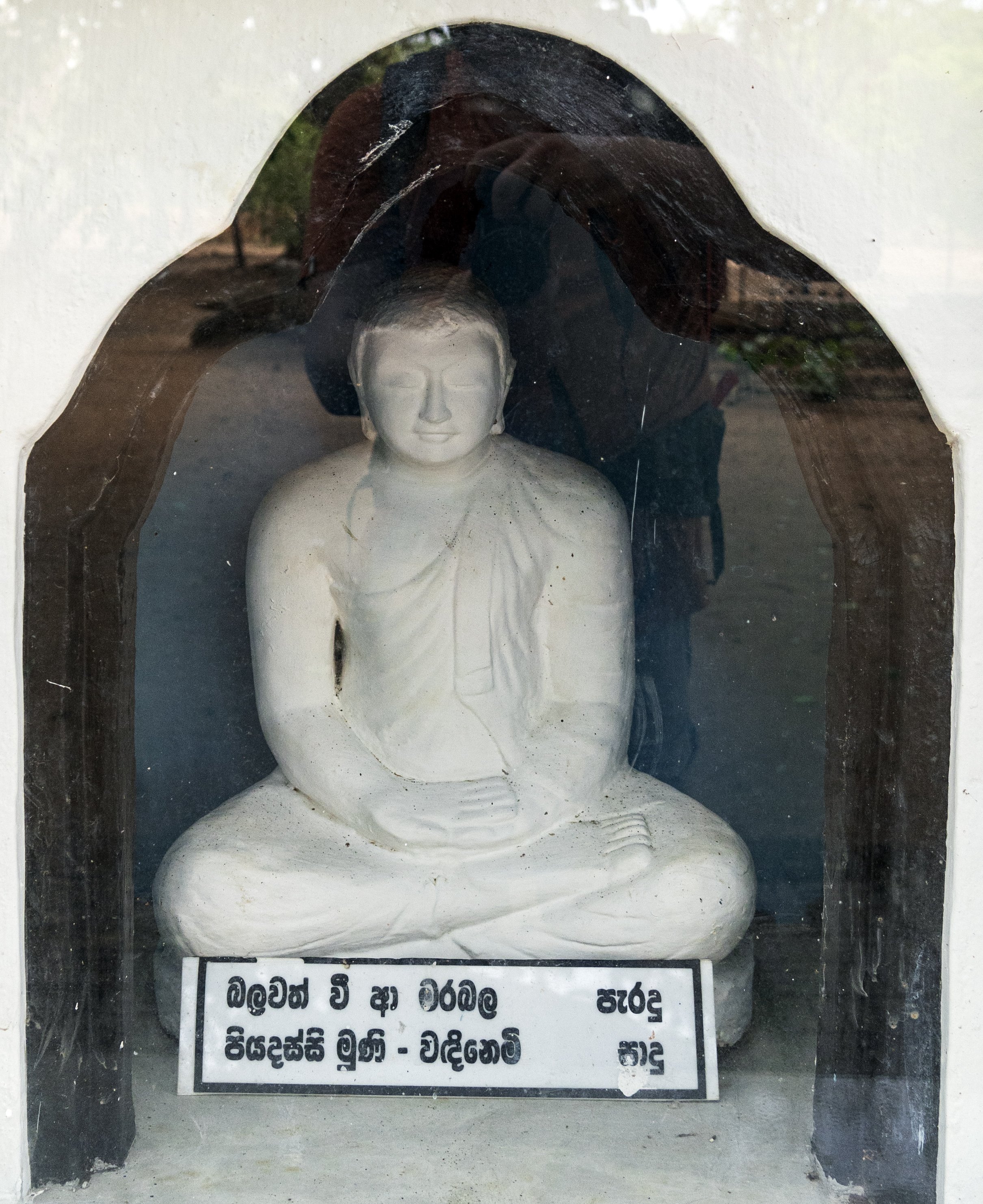 Piyadassi Buddha [Habarana Tampita Rajamaha Viharaya]