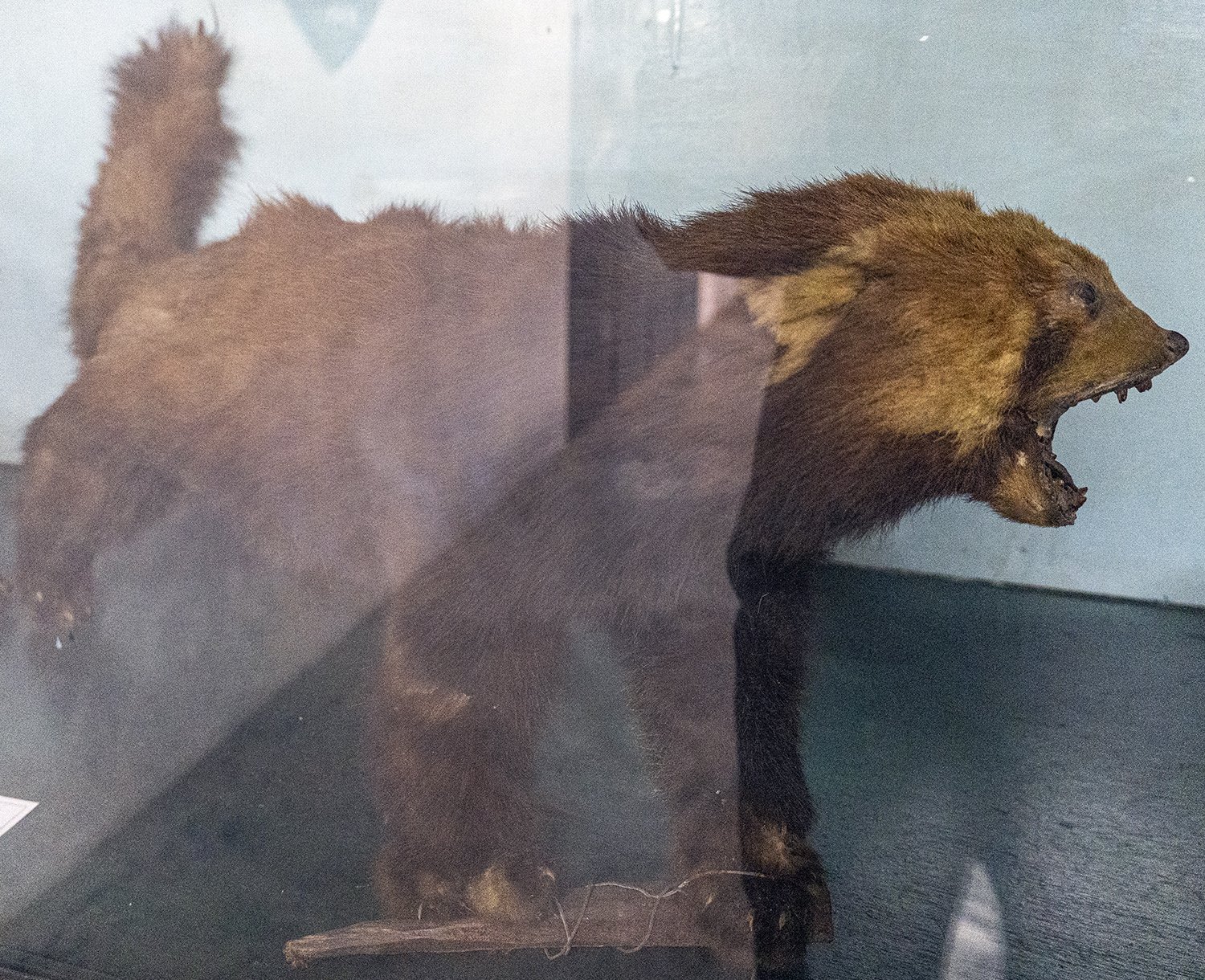 Rood: Symboliek en betekenis