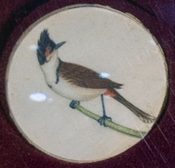 Pájaro: Simbolismo y significado