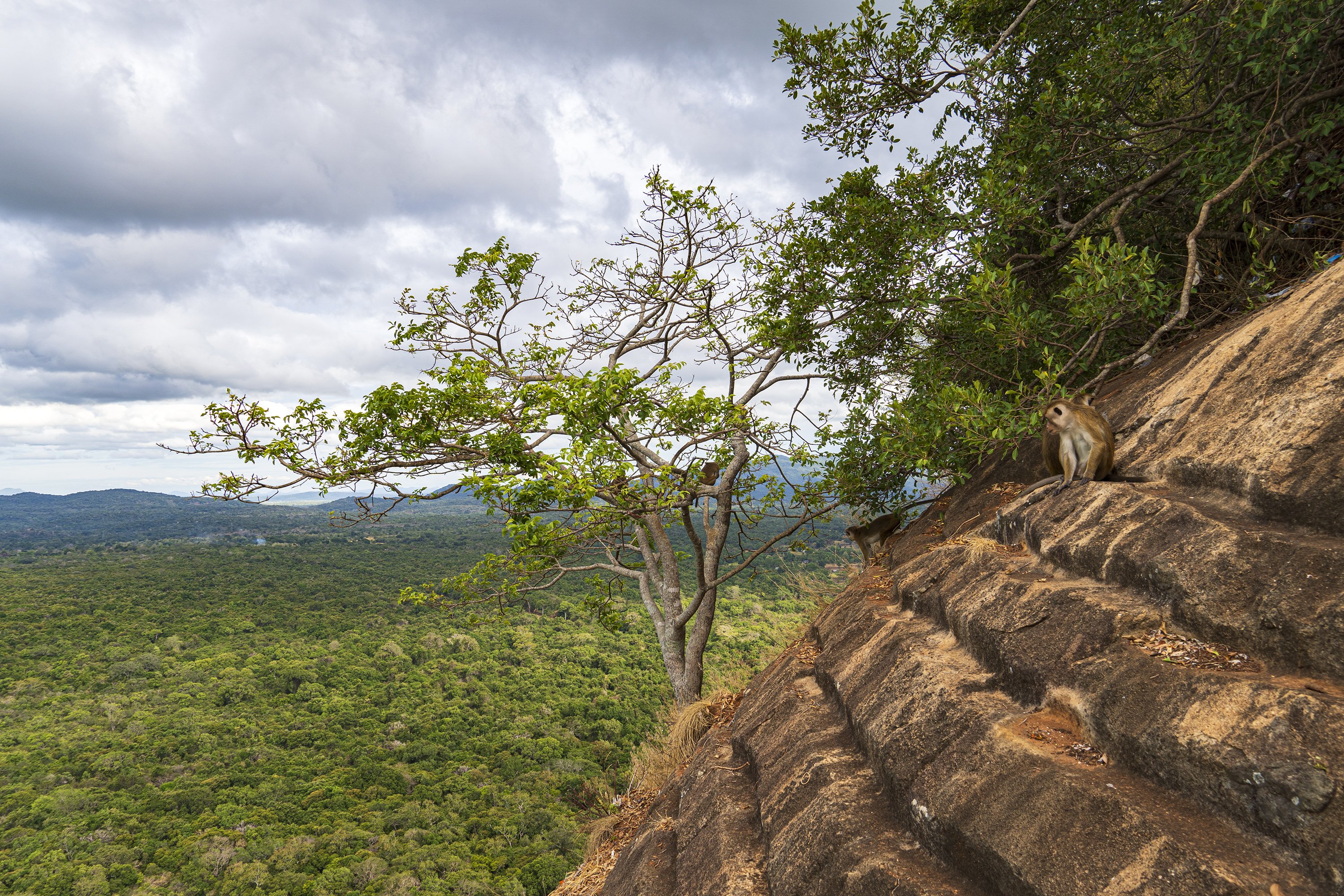 Sigiriya view from stairs [Sigiriya rock fortress]
