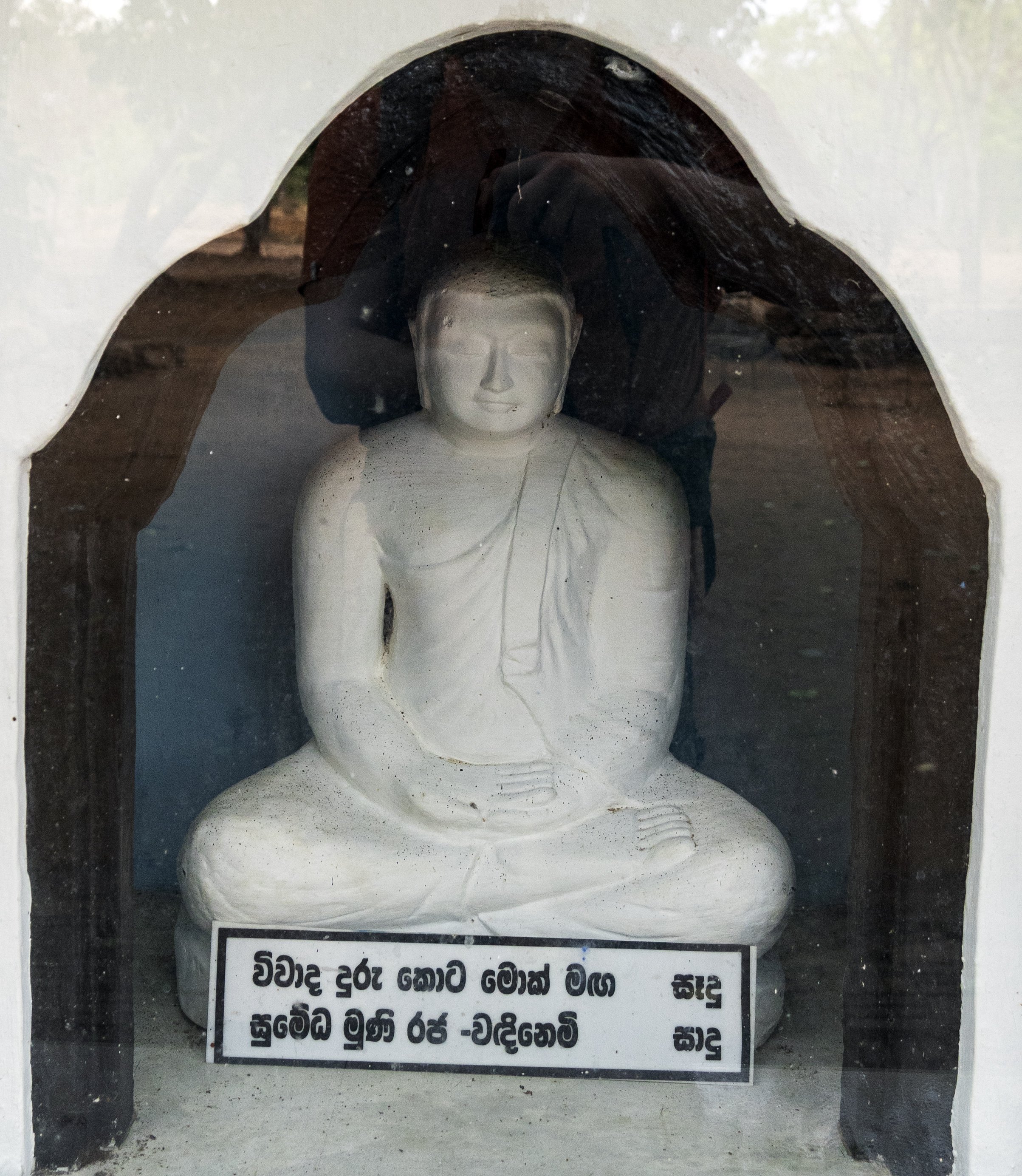 Sumedha Buddha [Habarana Tampita Rajamaha Viharaya]