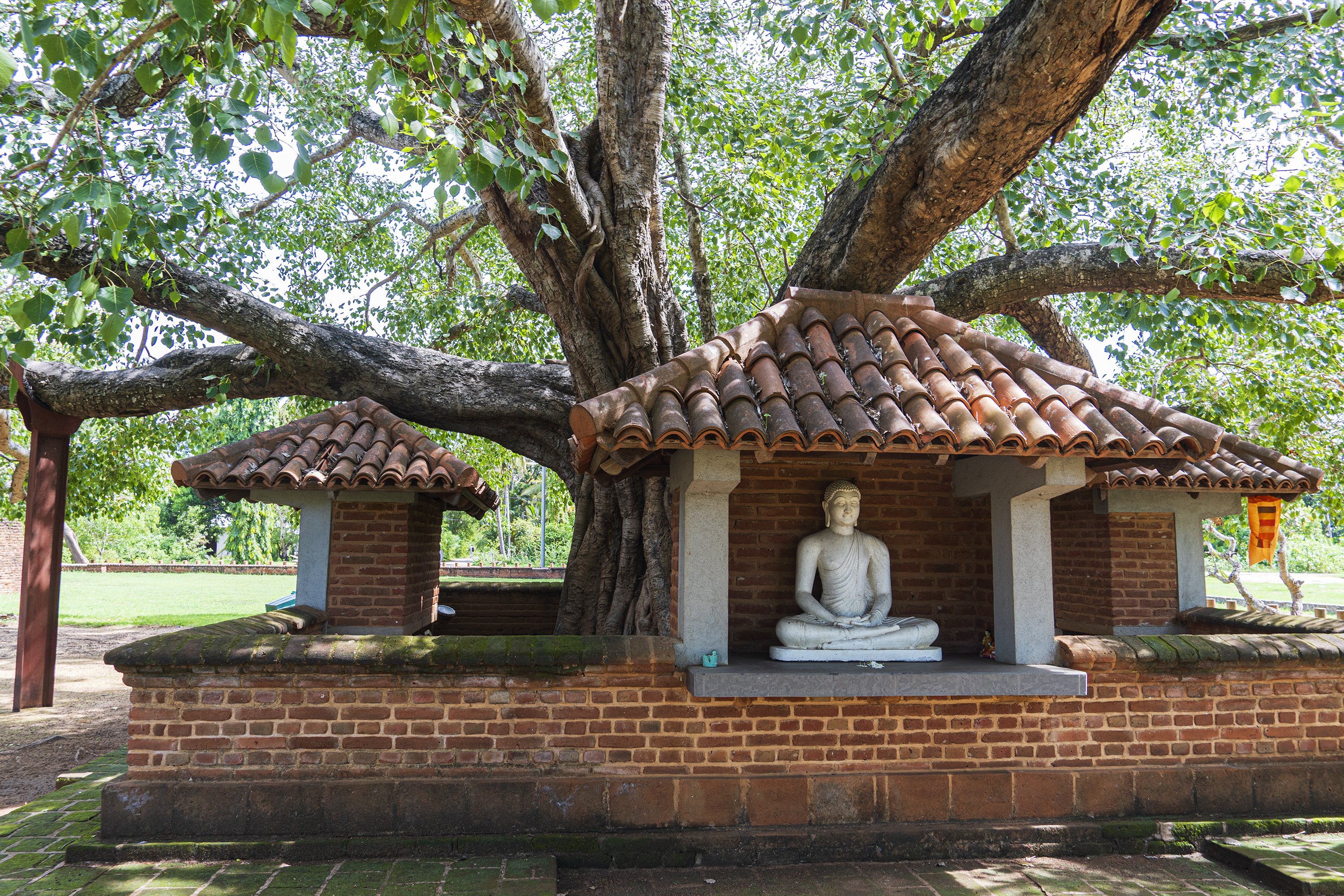 Tree shrine with statue [Sandagiri Stupa]