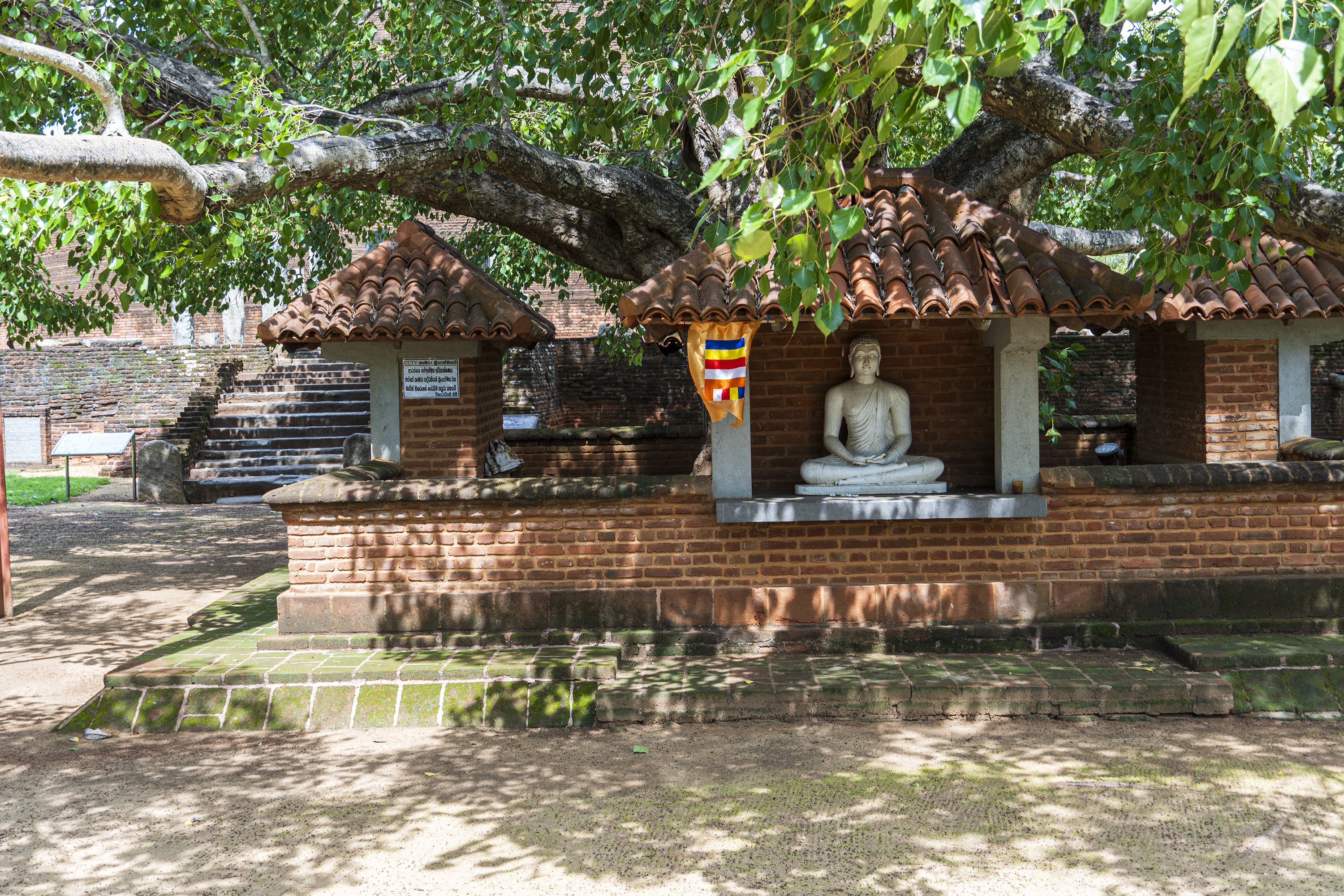 Tree shrine with statue [Sandagiri Stupa]