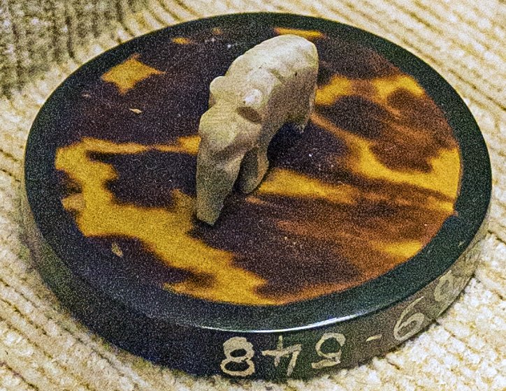 Turtle Shell Paper weights [Galle National Museum]